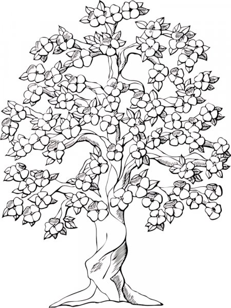 Tree coloring pages for adults