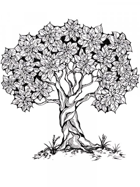 Tree coloring pages for adults
