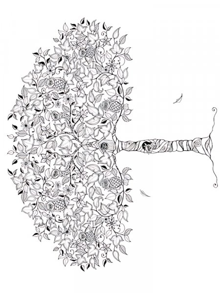 Tree coloring pages for adults