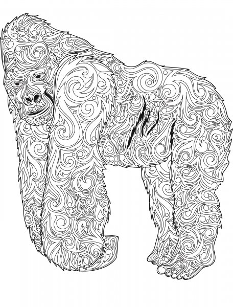 Free Gorilla coloring pages for Adults