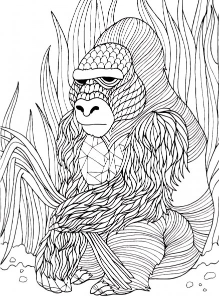 Free Gorilla coloring pages for Adults