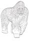 Free Gorilla coloring pages for Adults