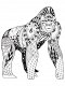 Free Gorilla coloring pages for Adults