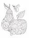 Pear coloring pages for Adults
