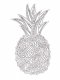 Pineapple coloring pages for Adults