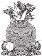 Pineapple coloring pages for Adults