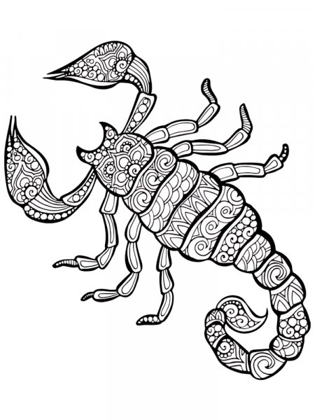 Scorpio coloring pages for Adults