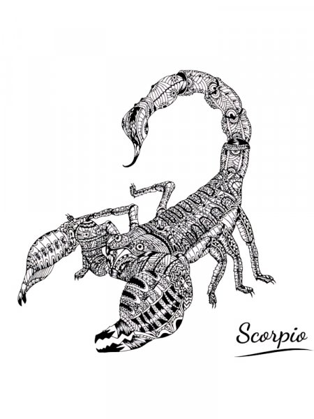 Scorpio coloring pages for Adults