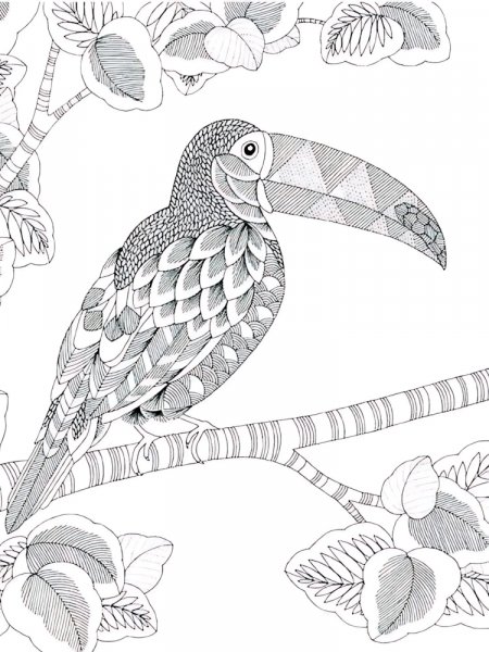 Birds coloring pages for Adults