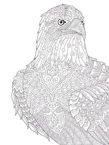 Birds coloring pages for Adults
