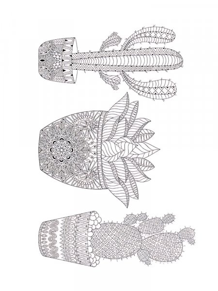 Cactus coloring pages for Adults