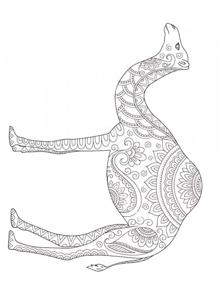 Camel coloring pages for Adults
