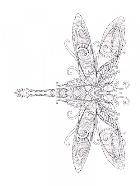 Dragonfly coloring pages for Adults