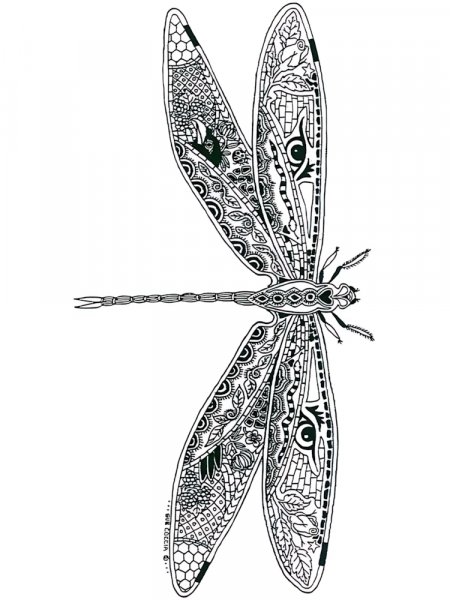 Dragonfly coloring pages for Adults