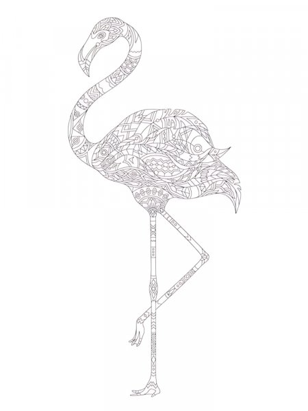 Flamingo coloring pages for Adults