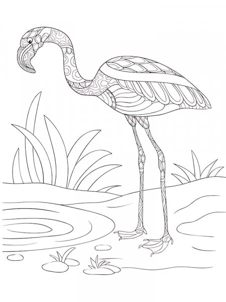 Flamingo coloring pages for Adults