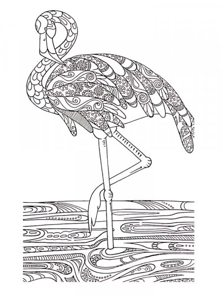 Flamingo coloring pages for Adults