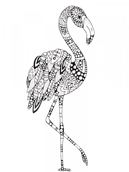 Flamingo coloring pages for Adults