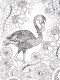 Flamingo coloring pages for Adults