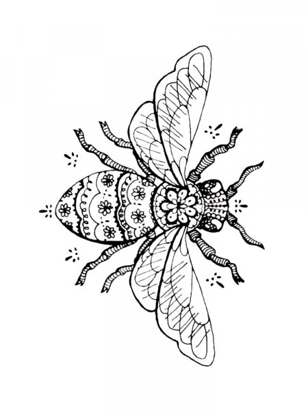 Fly coloring pages for Adults