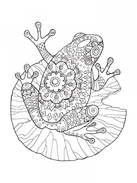Frog coloring pages for Adults