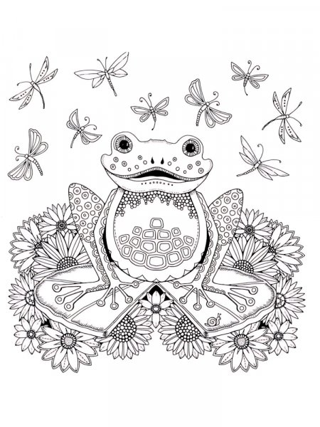 Frog coloring pages for Adults
