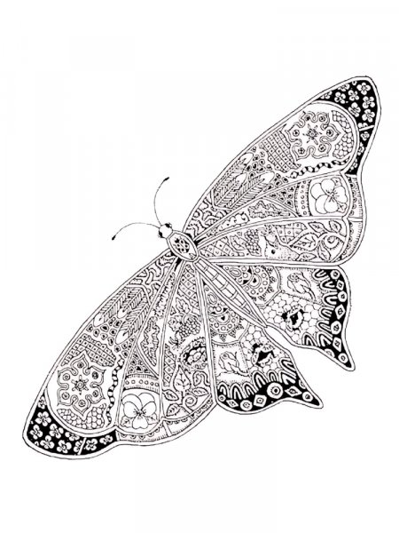 Insect coloring pages for Adults