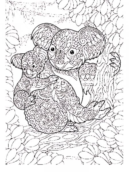 Koala coloring pages for Adults
