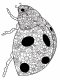 Ladybug coloring pages for Adults
