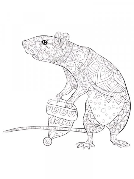 Mouse coloring pages for Adults