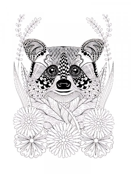 Raccoon coloring pages for Adults