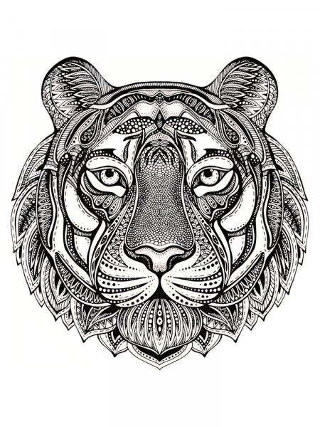 Tiger coloring pages for Adults