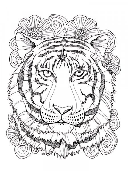 Tiger coloring pages for Adults