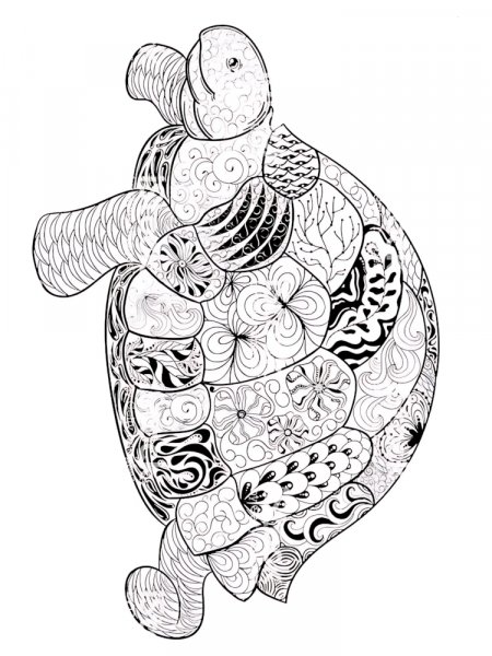 Turtle coloring pages for Adults