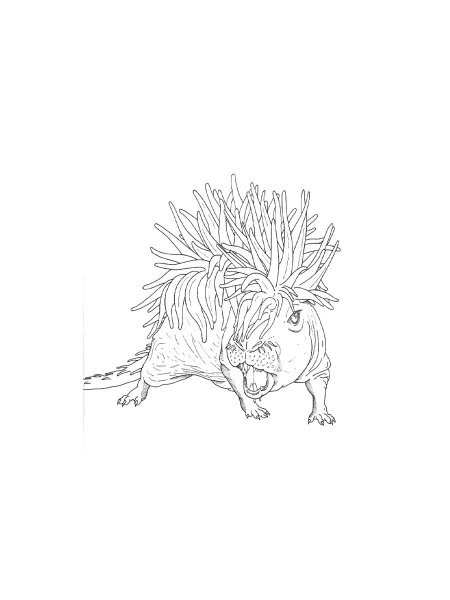 Fantastic Beasts and Where to Find Them coloring pages