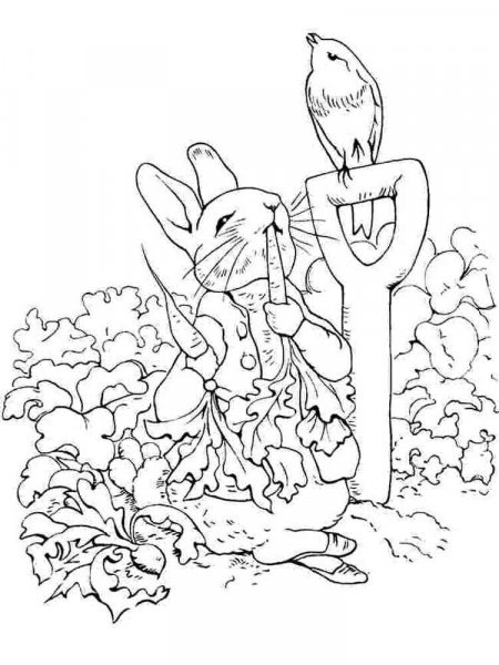 Peter Rabbit coloring pages