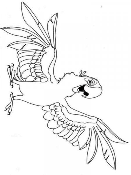 Rio and Rio 2 coloring pages