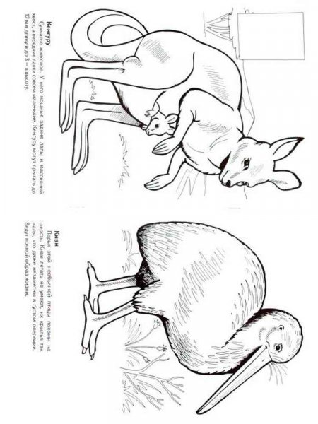 Australia coloring pages
