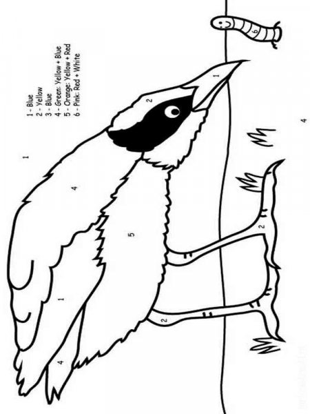 Learning Colors coloring pages