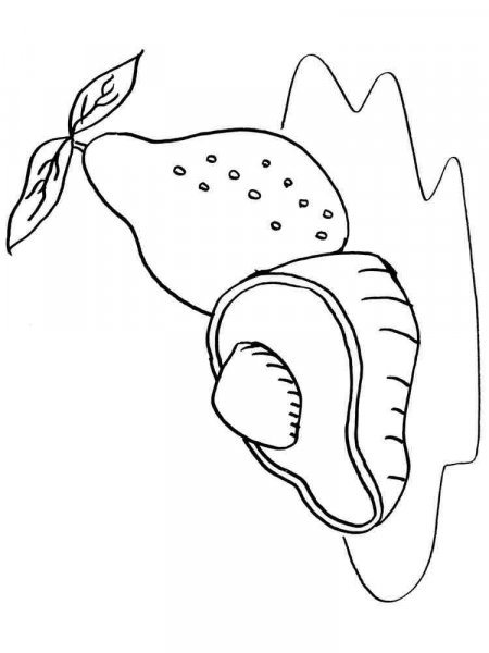 Avocado coloring pages