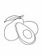 Avocado coloring pages