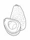 Avocado coloring pages