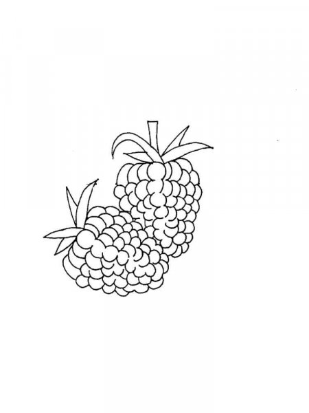 Blackberry coloring pages