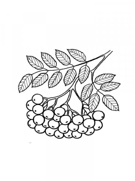 Rowan coloring pages