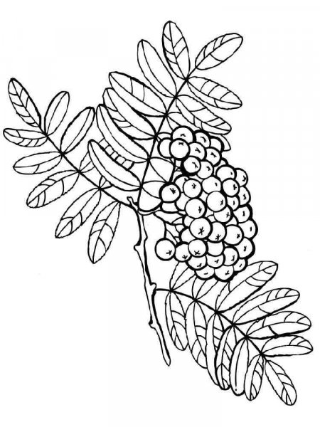 Rowan coloring pages