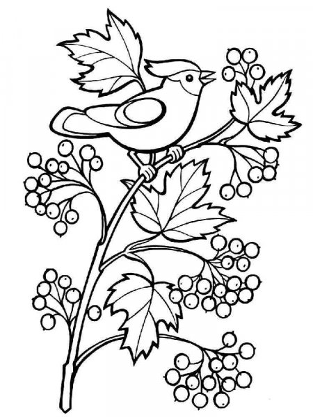 Rowan coloring pages