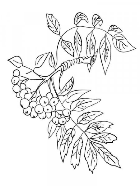 Rowan coloring pages