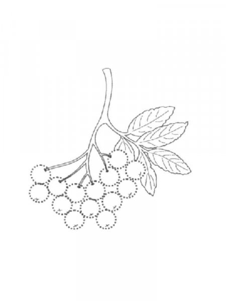 Rowan coloring pages