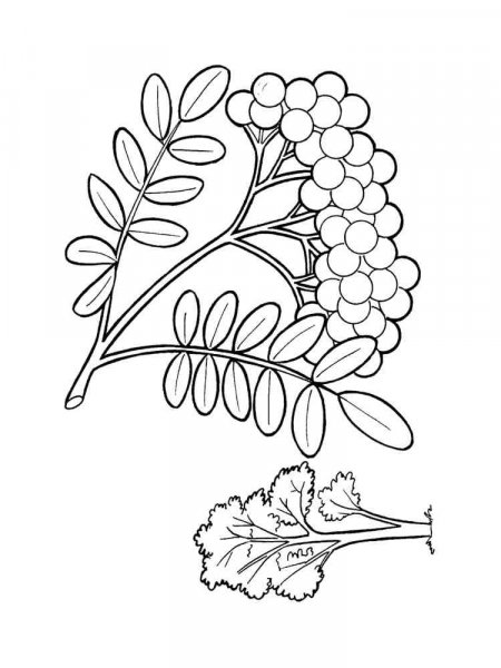 Rowan coloring pages