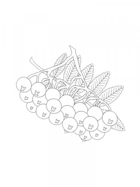 Rowan coloring pages
